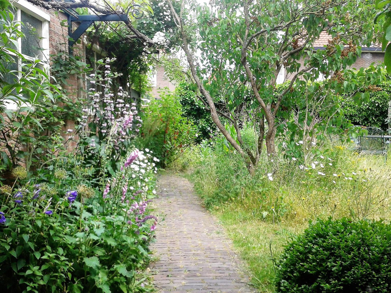 Particulier levend groen - Wencke Habermann Natuurlijk Groen